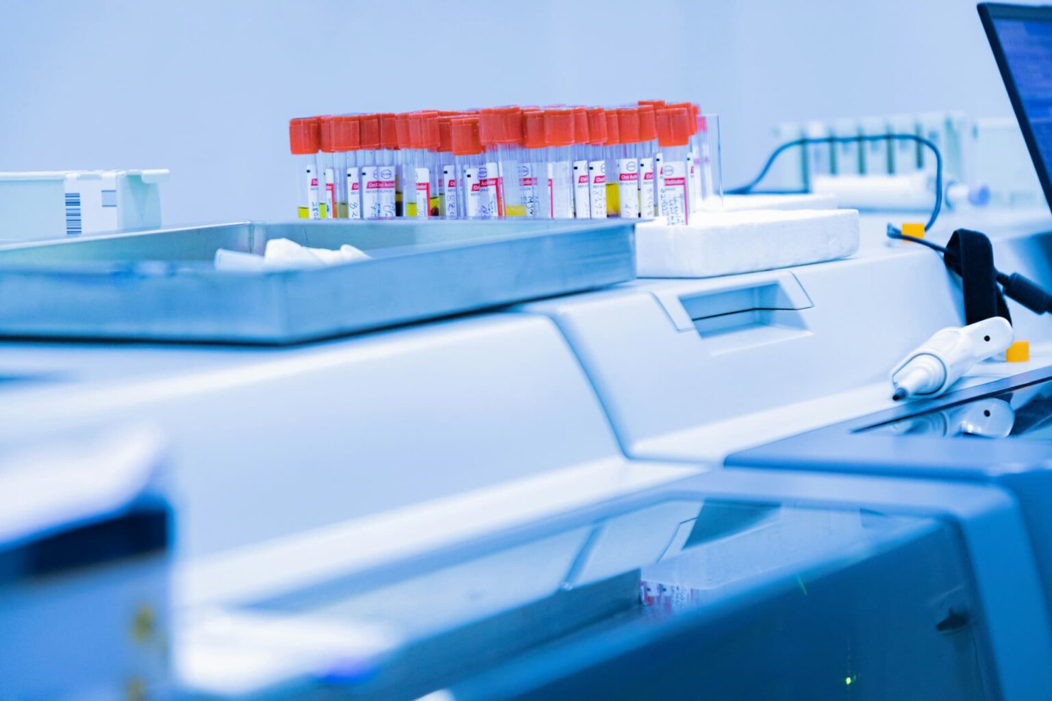 Clinical & Regulatory Services | Palladium Diagnostics